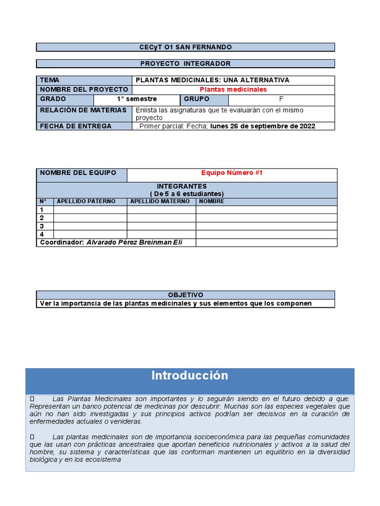 Formato Planta Medicinal | PDF | Plantas | Plantas medicinales