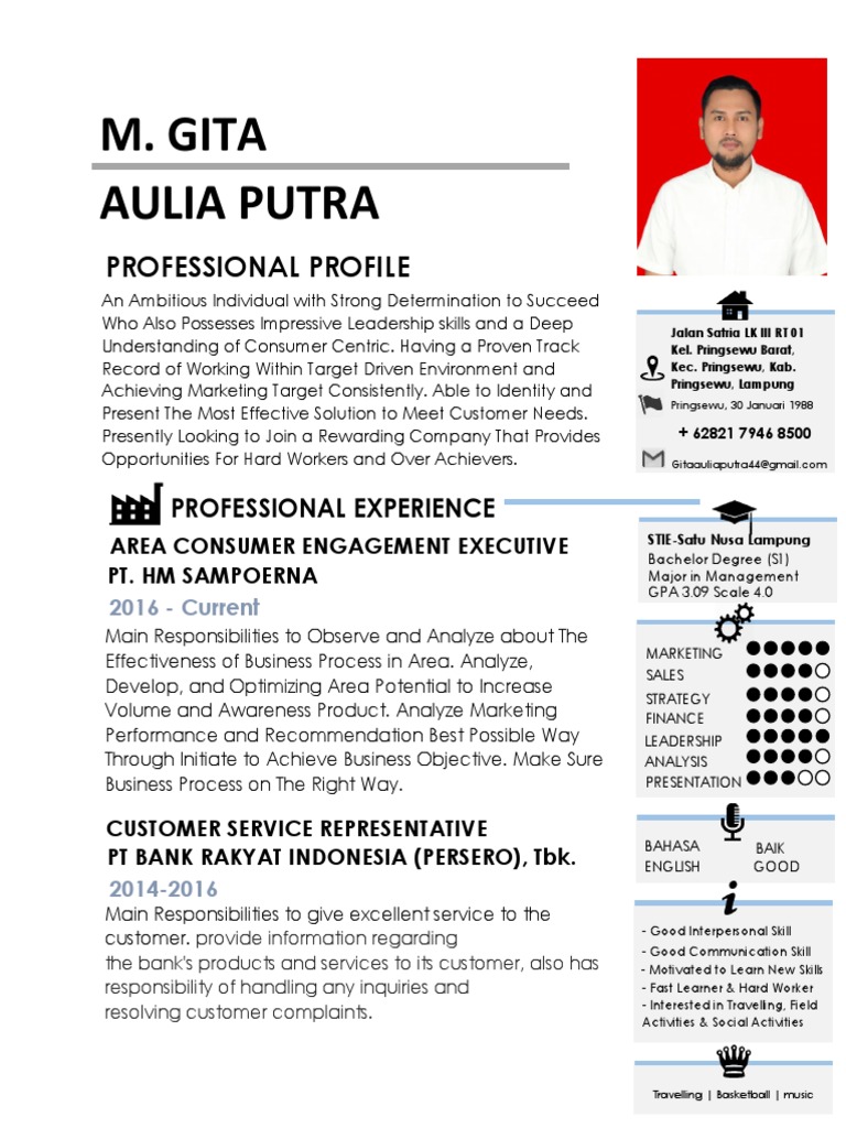 Resume M.gita Aulia Putra | PDF | Marketing | Economies