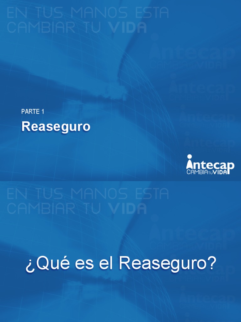 Reaseguro | PDF | Reaseguro | Seguro