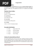 Mary Kay Interview Outline - NSD Pamela Shaw | PDF | Economies | Business
