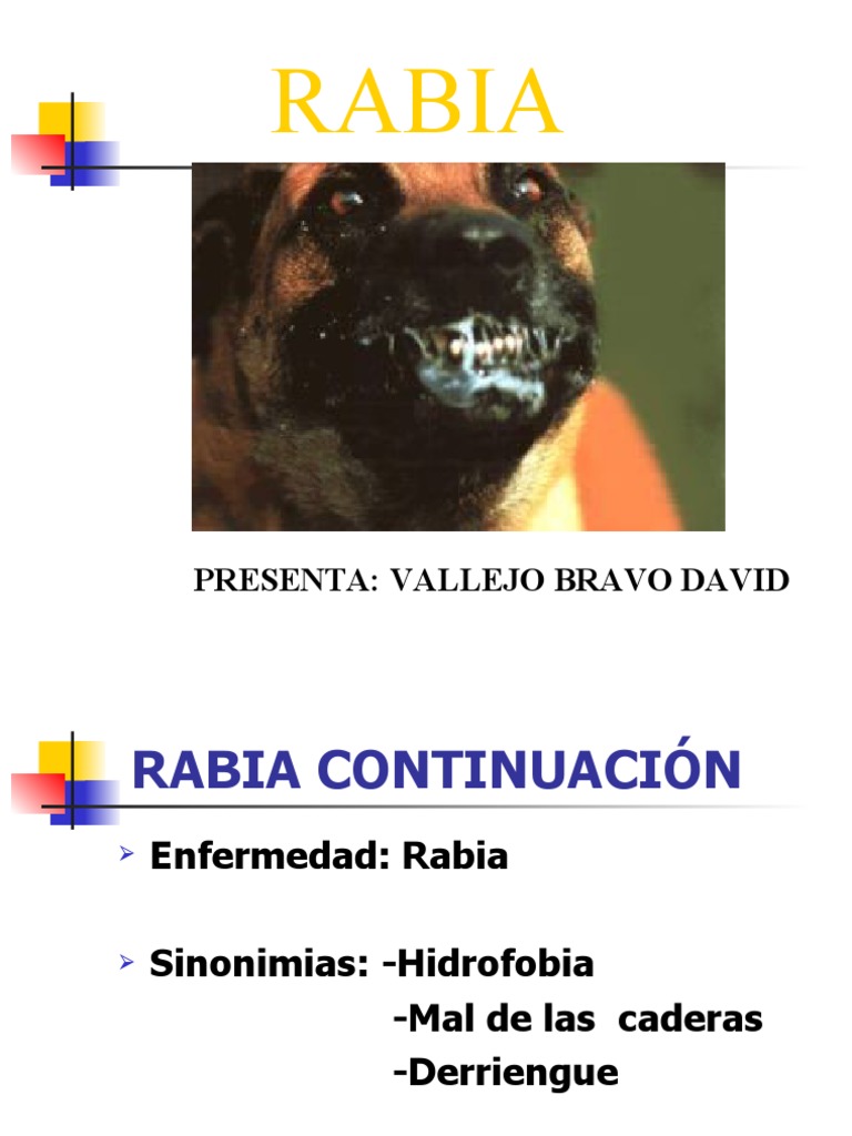 Presentacion Rabia | PDF | Rabia | Microbiología