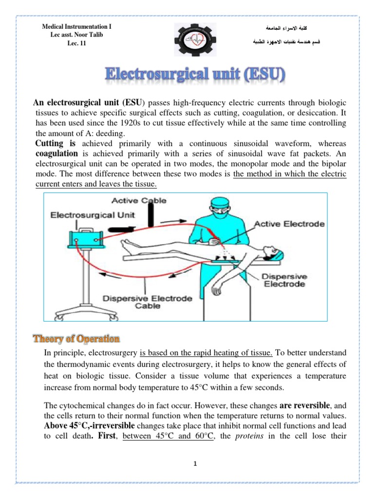 Esu BASICS 5 | PDF | Electrical Engineering | Electricity