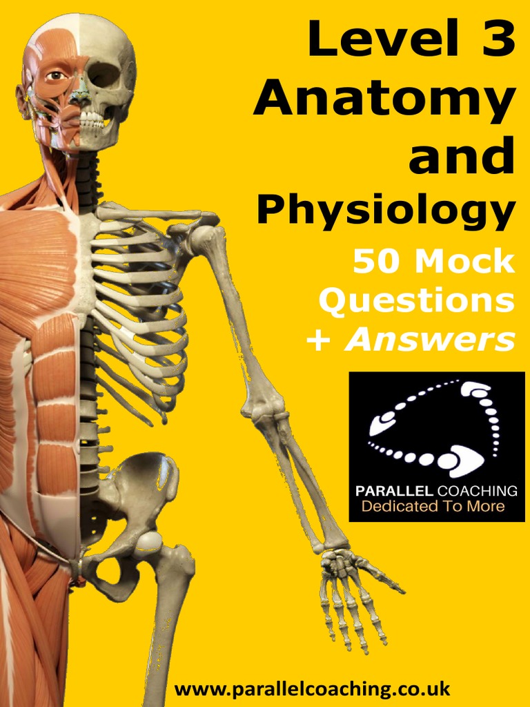 Anatomy And Physiology Worksheets Chapter 3