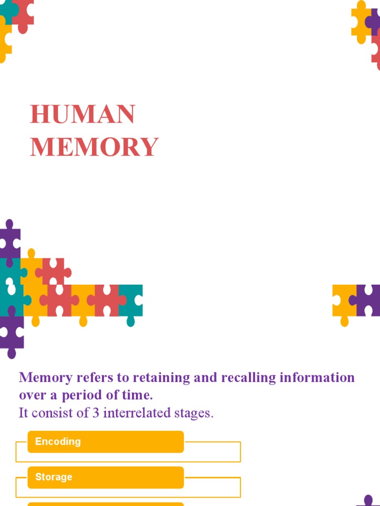 Human Memory | PDF Human Memory | PDF