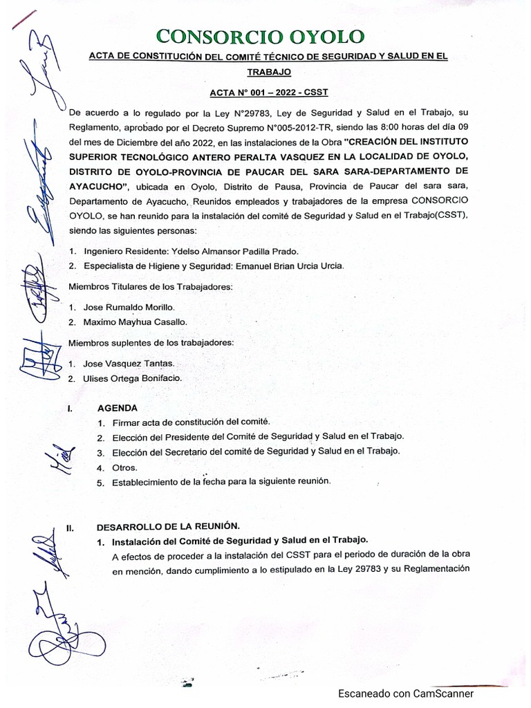 Acta de Constitución de Comité SST | PDF