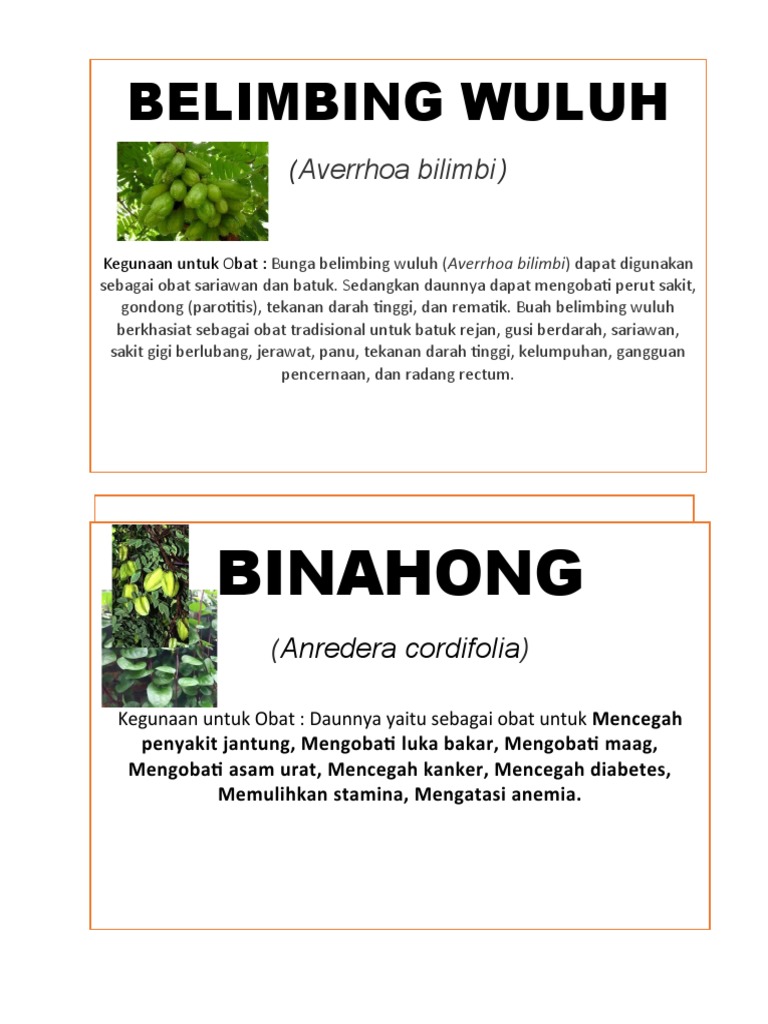 Label Nama TOGA | PDF