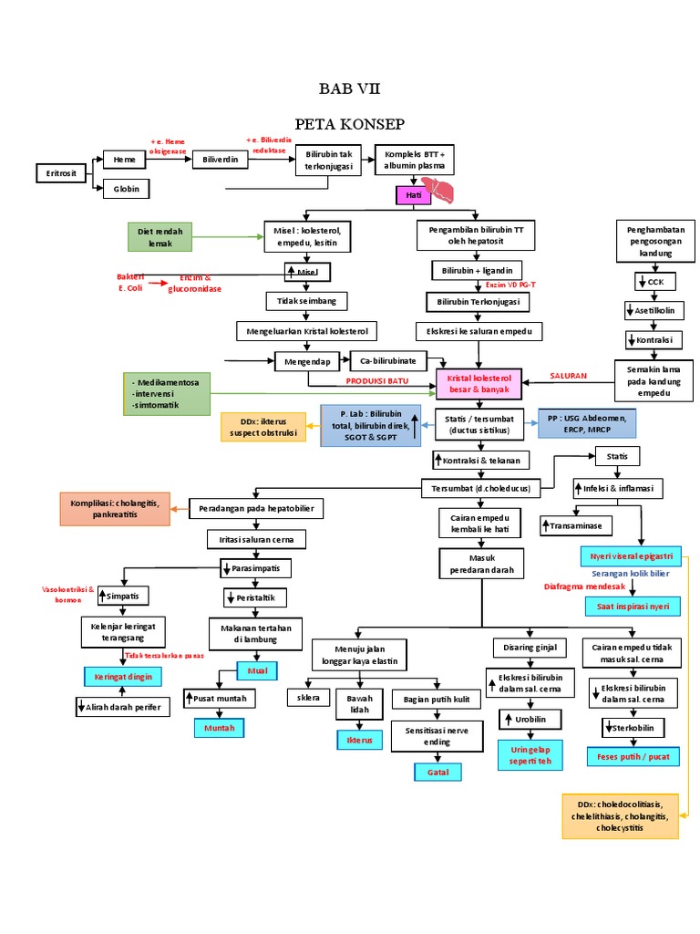 PR Urin Bewarna Teh | PDF