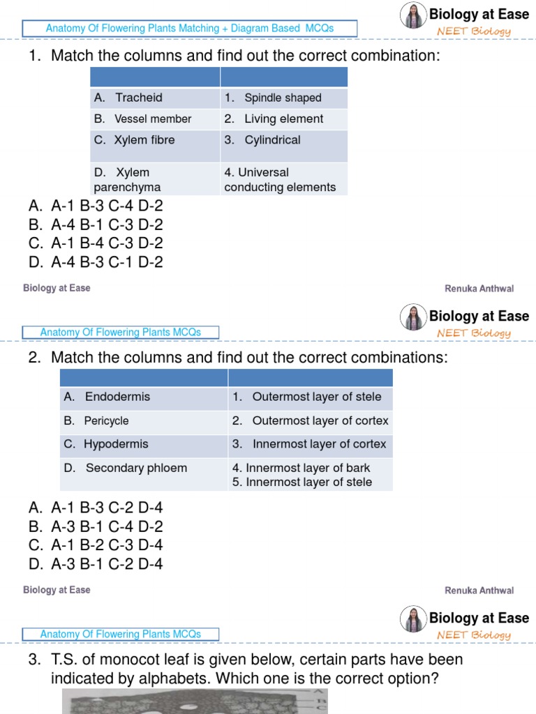 Anatomy of Flowering Plants MCQs | PDF | Plant Stem | Tissue (Biology)