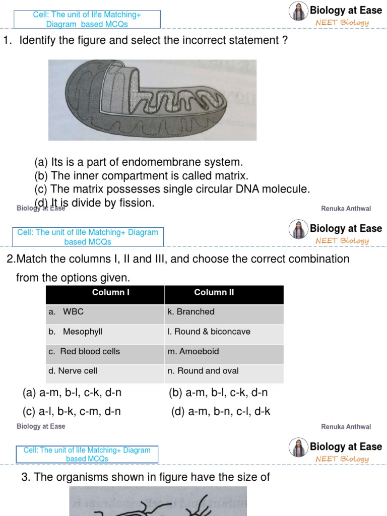 Cell The Unit of Life Matching+ Diagram Based MCQs-1 | PDF | Cell ...