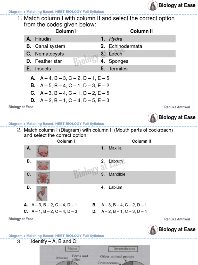 Diagram + Matching Based - NEET BIOLOGY Full Syllabus-1 | PDF | Gel ... Diagram + Matching Based - NEET BIOLOGY Full Syllabus-1 | PDF | Gel ...