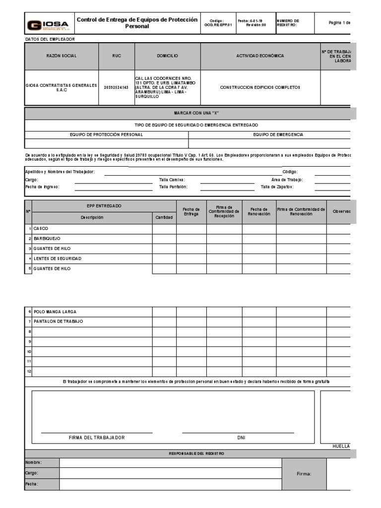 Control de Entrega de EPP | PDF