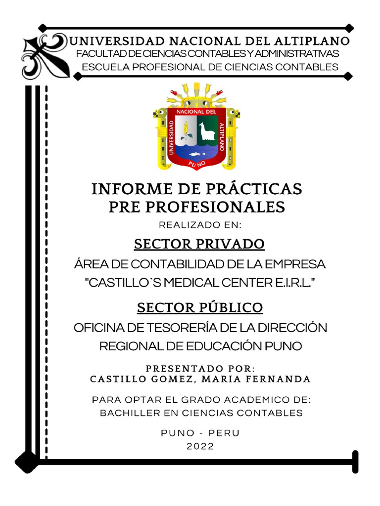 Informe Practicas Pre Profesionales | PDF | Contabilidad | Business