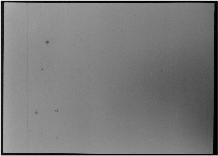 ASTM E446 A - Gas Porosity Level 1 | PDF