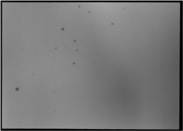 ASTM E446 A - Gas Porosity Level 2 | PDF