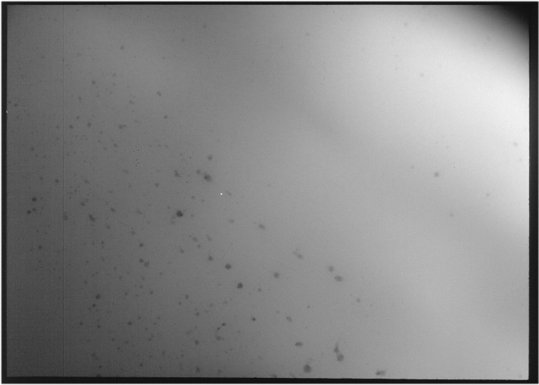 ASTM E446 A - Gas Porosity Level 3 | PDF