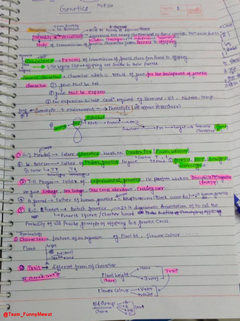 MP Genetics - 1 Notes | PDF