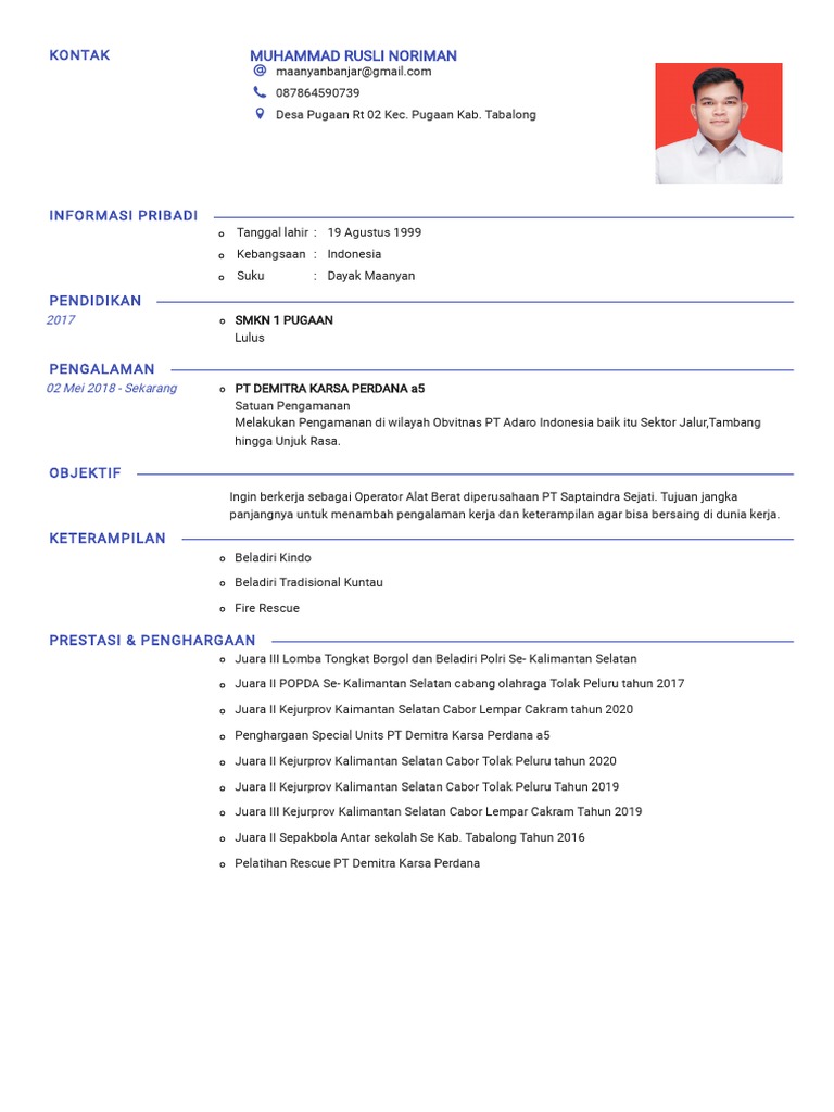 Contoh CV Digital | PDF