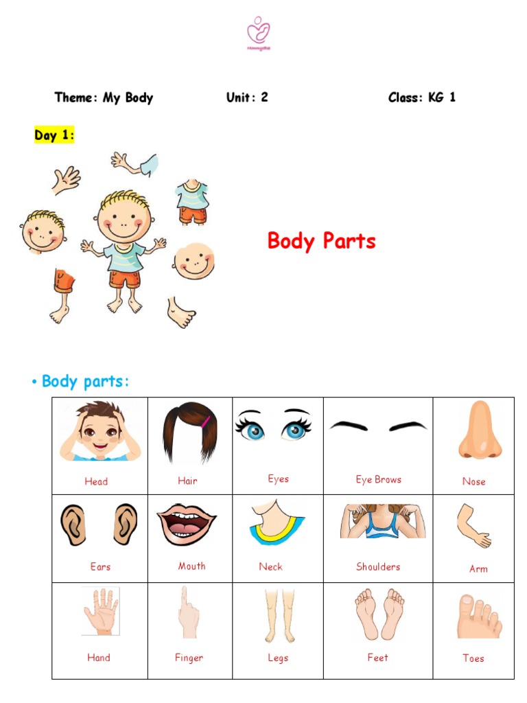 Theme 2 My Body | PDF | Black