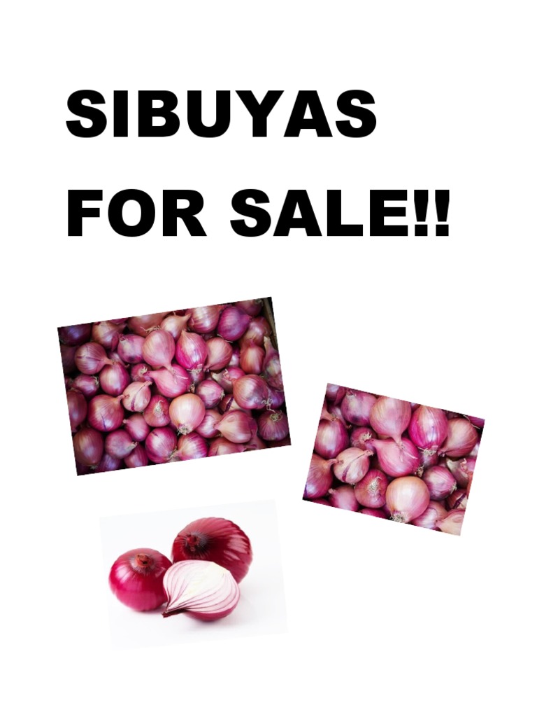 Sibuyas For Sale | PDF