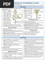 Morphology of Flowering Plants Annotated NCERT | PDF