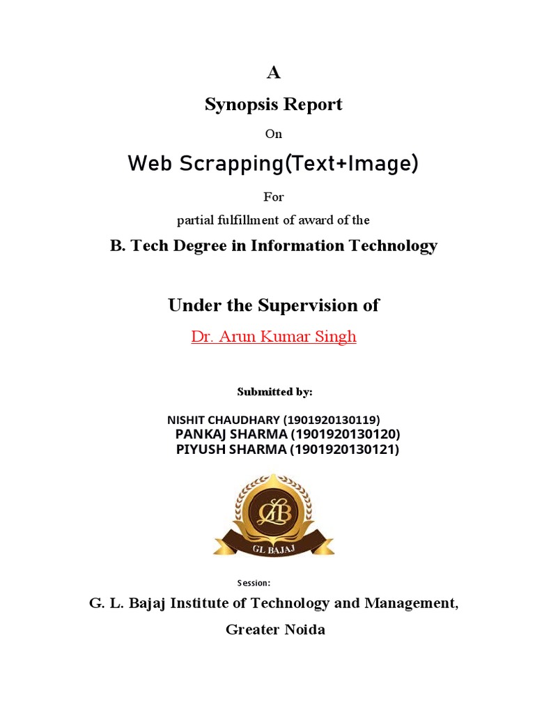 Synopsis WS | PDF | World Wide Web | Internet & Web