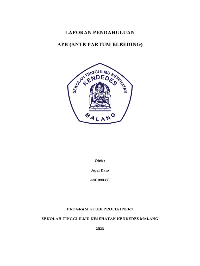 Jepri LP Apb Maternitas | PDF | Sains & Matematika