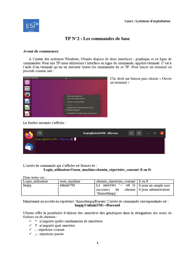 TP2 - Commandes de Base - Linux | PDF | Interface en ligne de commande | Environnement de bureau