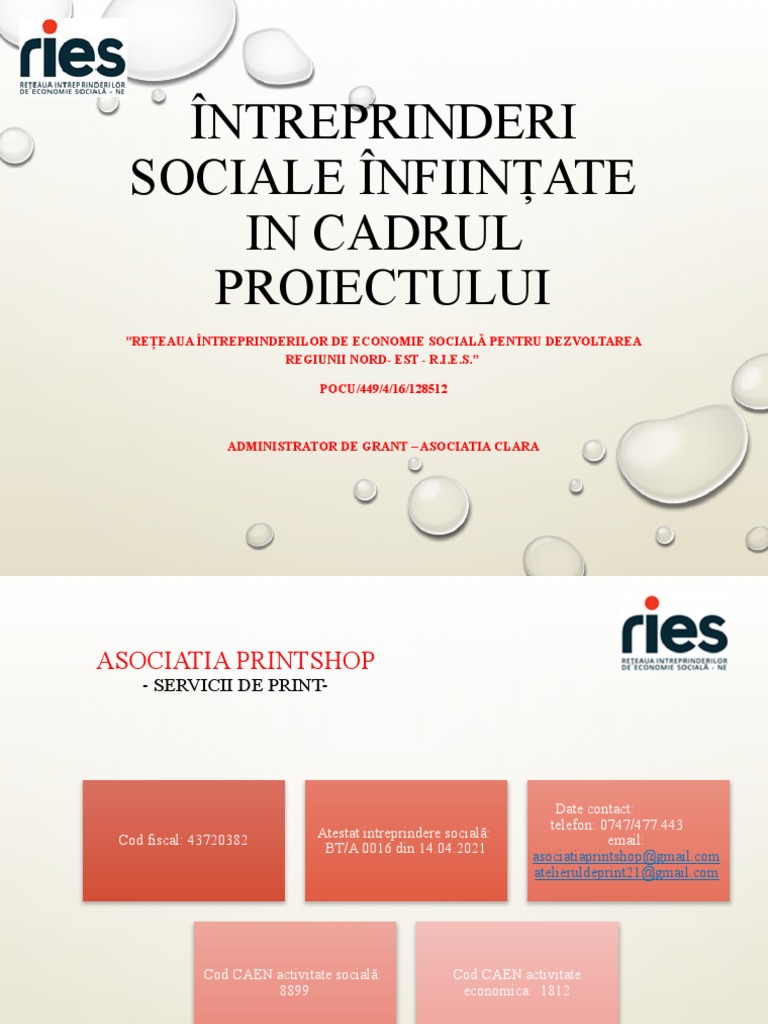 Intreprinderi Sociale Infiintate in Cadrul Proiectului | PDF
