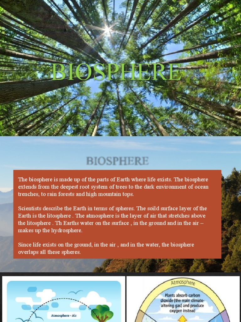 BIOSPHERE | PDF | Atmosphere Of Earth | Life
