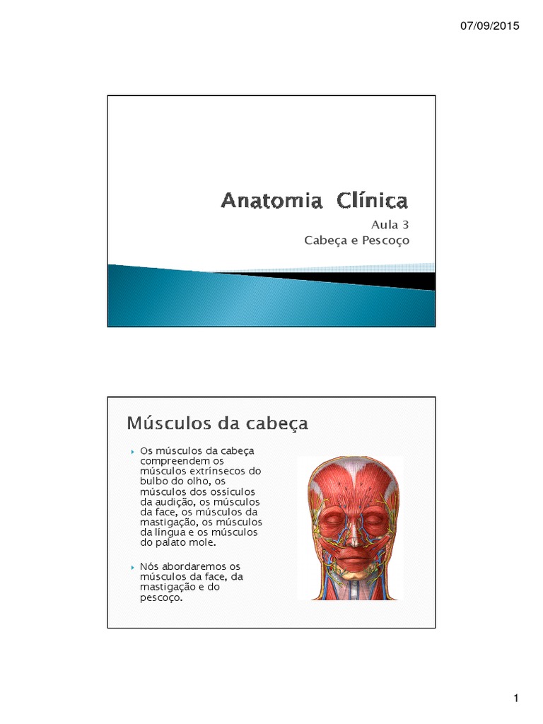 Anatomia dos Músculos da Cabeça e Pescoço | PDF | Rosto | Anatomia humana