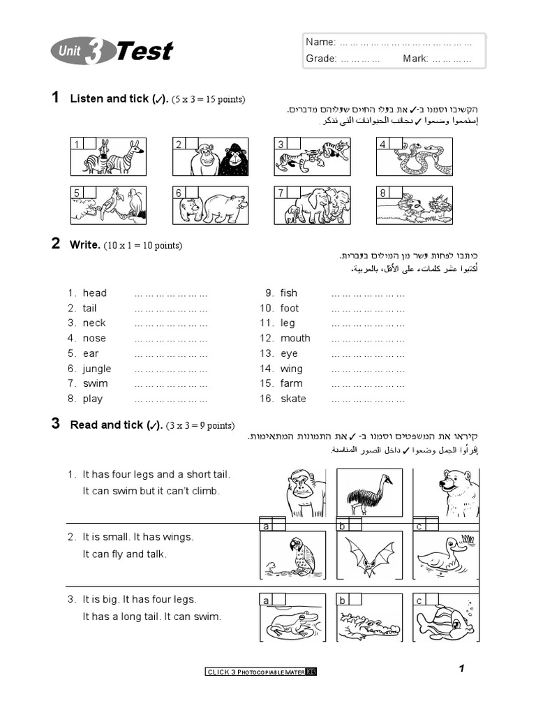 Elm Test Click 3 Test U3 | PDF