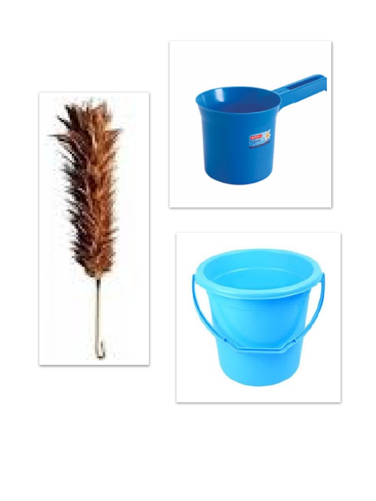 B.sunda Pakakas | PDF