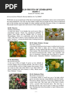 NJUG Publication Volume 1 | PDF | Root | Trees