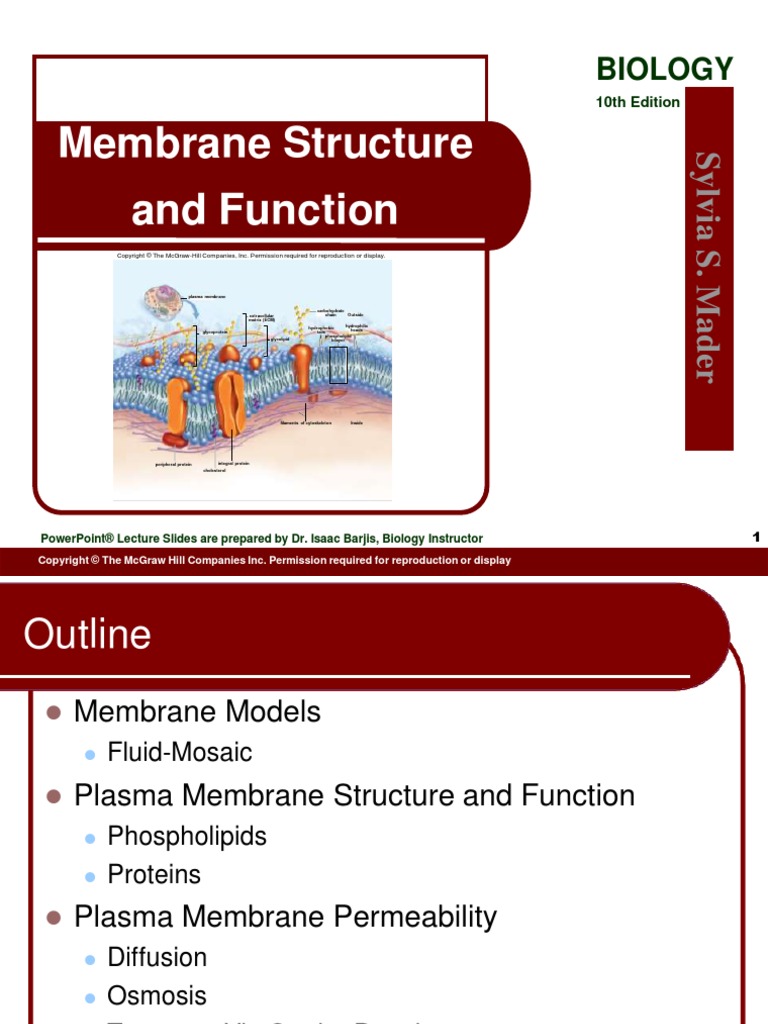 Membrane Structure and Function 1 | PDF