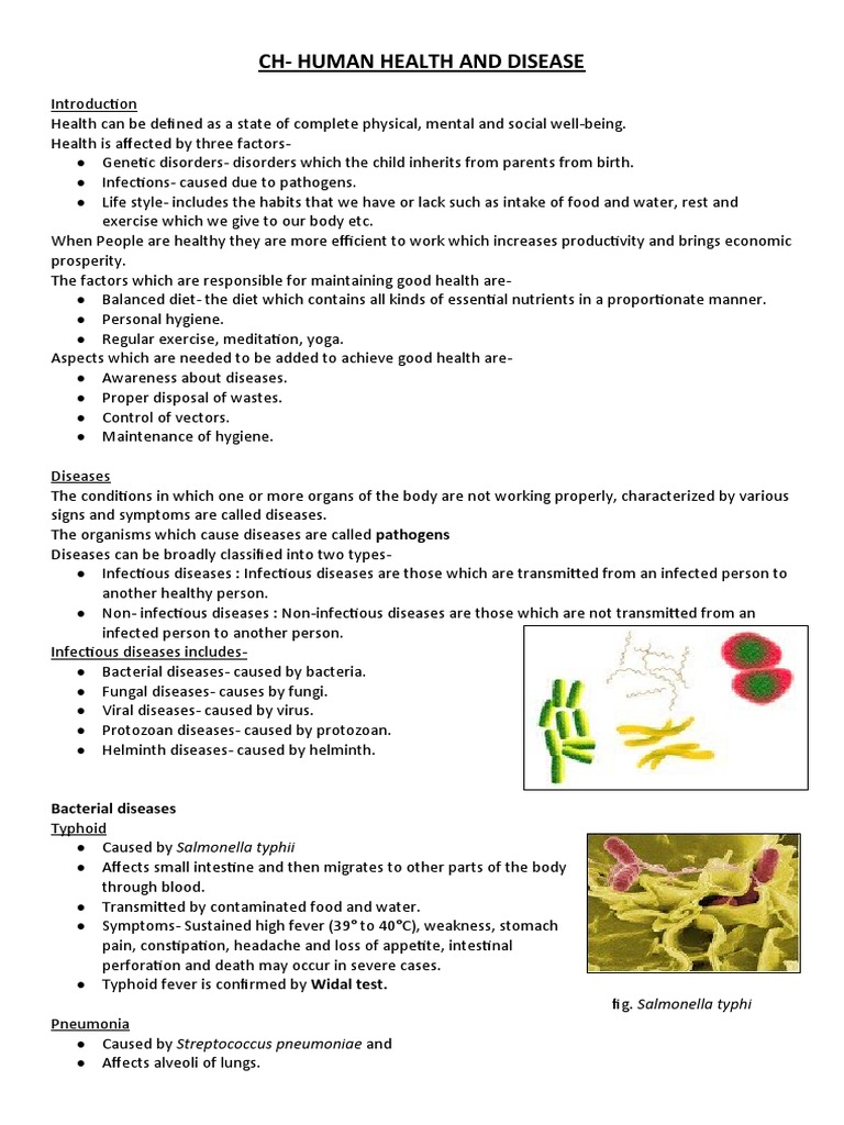 S4C Human Health and Disease | PDF | Immune System | Antibody