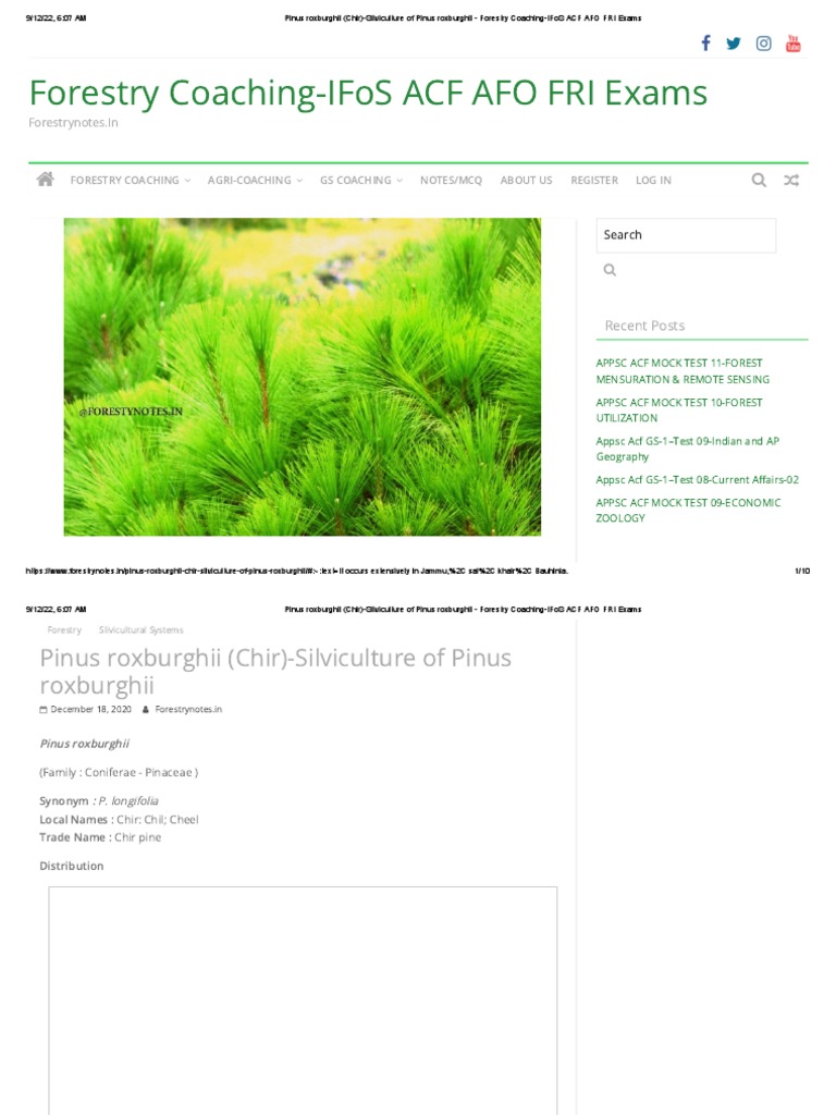 Pinus Roxburghii (Chir) - Silviculture of Pinus Roxburghii - Forestry ...