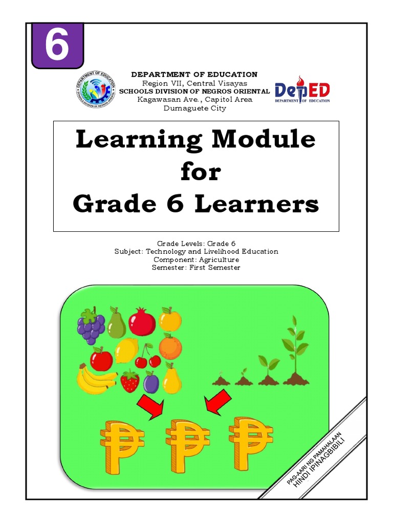 Epp 6 A.F.A. Module 4 Week 4 Neg - Or. Div Group | PDF | Plant Nursery ...