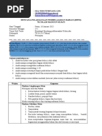 Contoh RPP Paud Merdeka Belajara | PDF