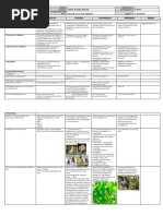 PedMIDAS - Migraine Questionnaire | PDF | Headache | Clinical Medicine