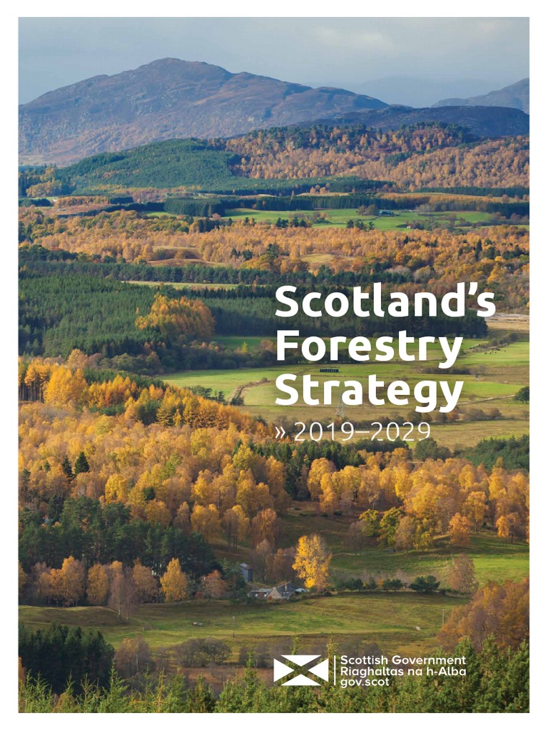 Scotlands Forestry Strategy 2019 2029 | PDF | Forestry | Sustainability