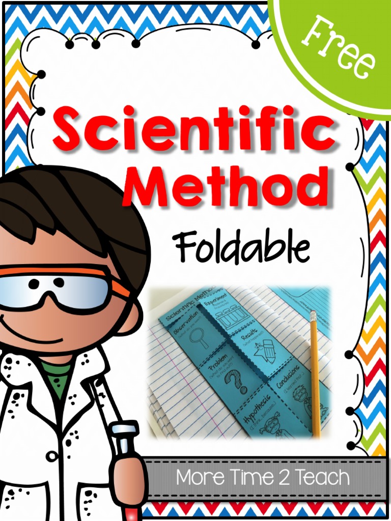 Scientific Method Foldable Freebie | PDF | Experiment | Scientific Method