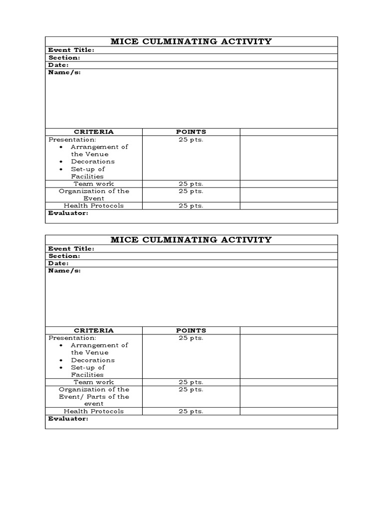 Mice Culminating Activity Rubrics | PDF | Business