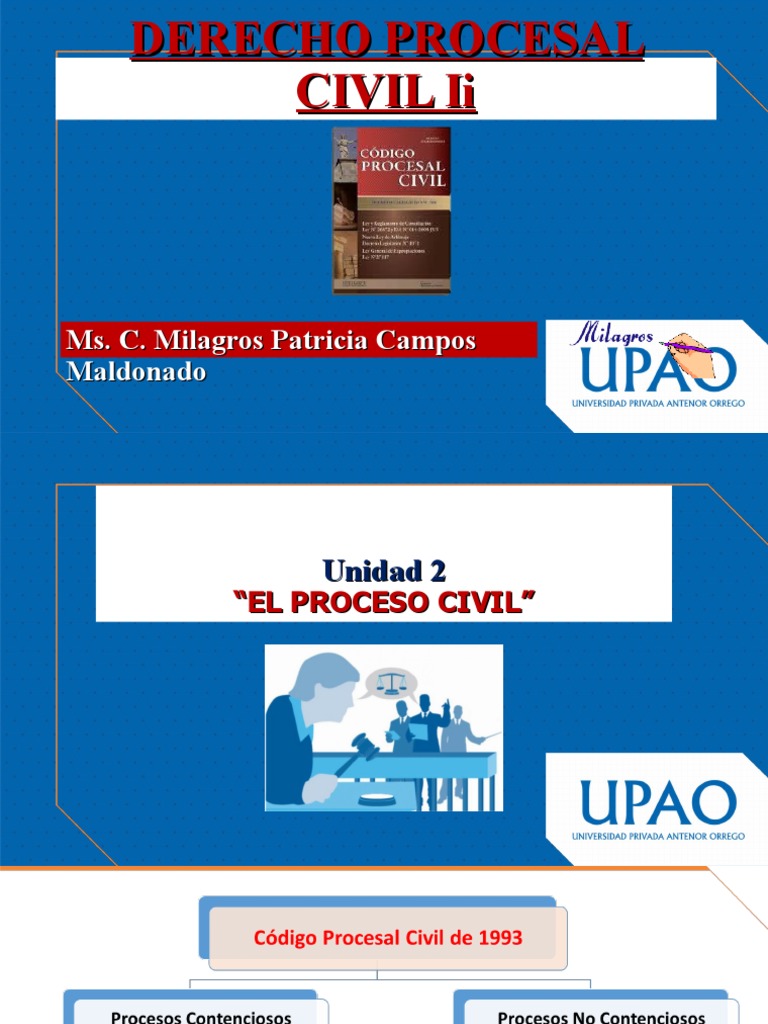 El Proceso Judicial | PDF | Ley procesal | Demanda judicial