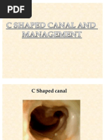 C-Shaped Canal Classification | Mouth | Dentistry Branches
