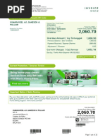 Digi Annual Bill Statement Guide | PDF | Cheque | Roaming