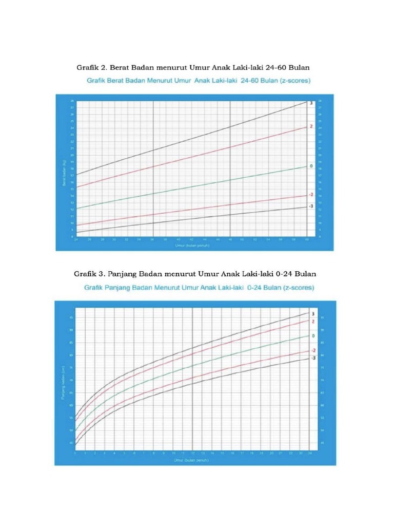 GRAFIK Z SCORE LAKI-LAKI BB Per U 0-60 BLN | PDF