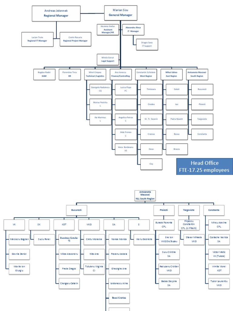 ISTA Romania Organizational Structure | PDF | Romania