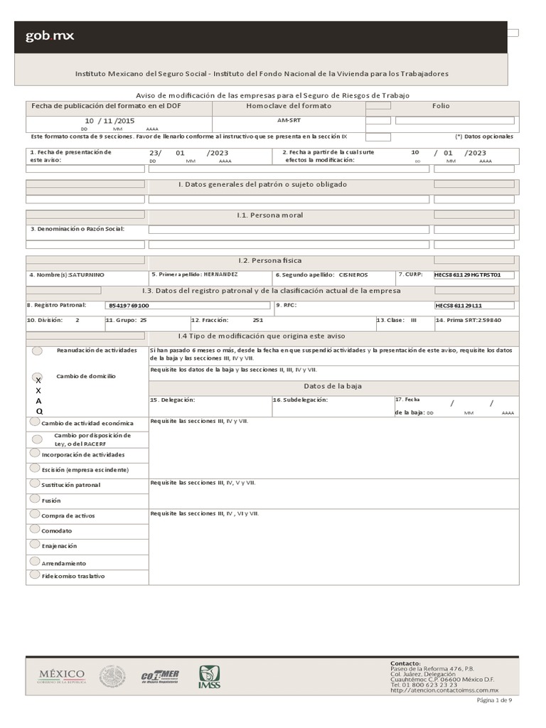 AM-SRT Formato Editable | PDF