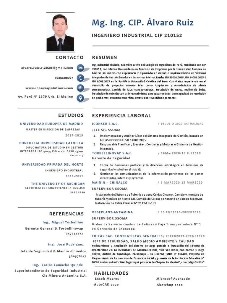 CV Ing - Cip Alvaro Ruiz | PDF | Economias | Business