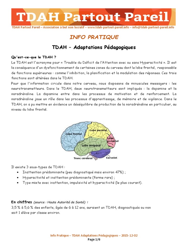 Info Pratique TDAH Adaptations Pedagogiques | PDF | Trouble du déficit ...